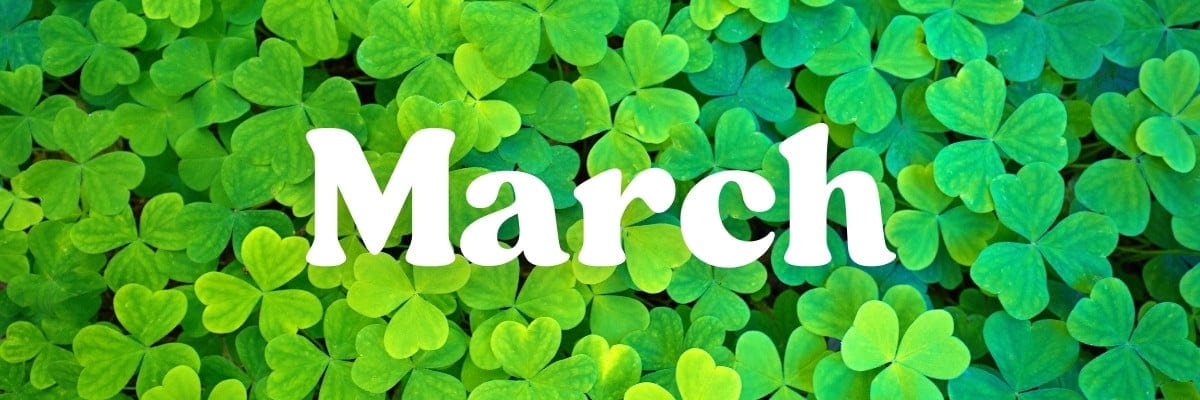 Fun Food Holidays to Celebrate Every Day! (Ultimate 2024 National Food ...