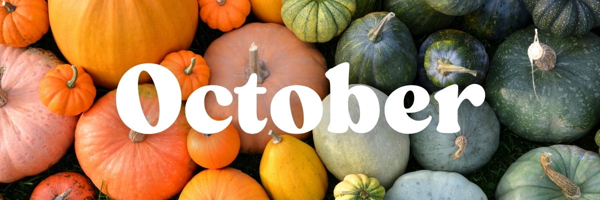 Fun Food Holidays to Celebrate Every Day! (Ultimate 2024 National Food ...