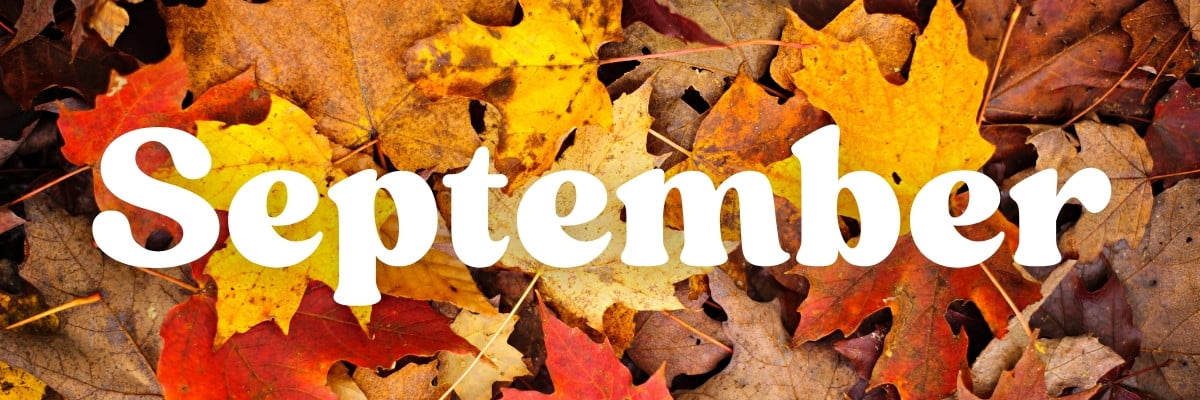 Fun Food Holidays to Celebrate Every Day! (Ultimate 2024 National Food ...